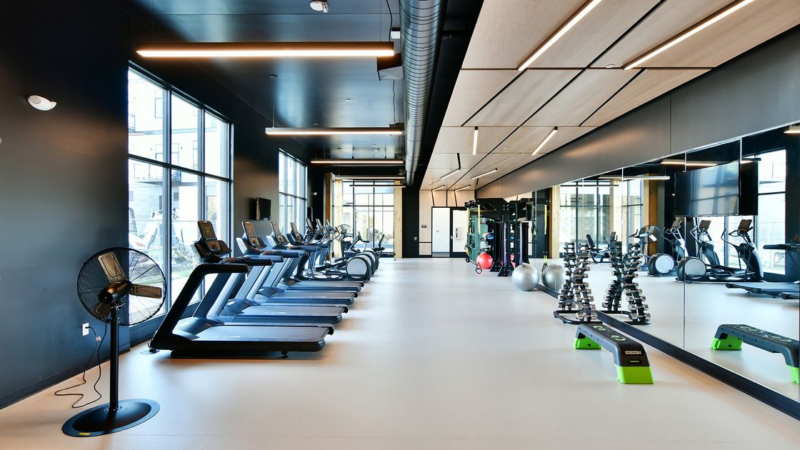 North Side Yard Project - Stevens Point | Market & Johnson's Projects